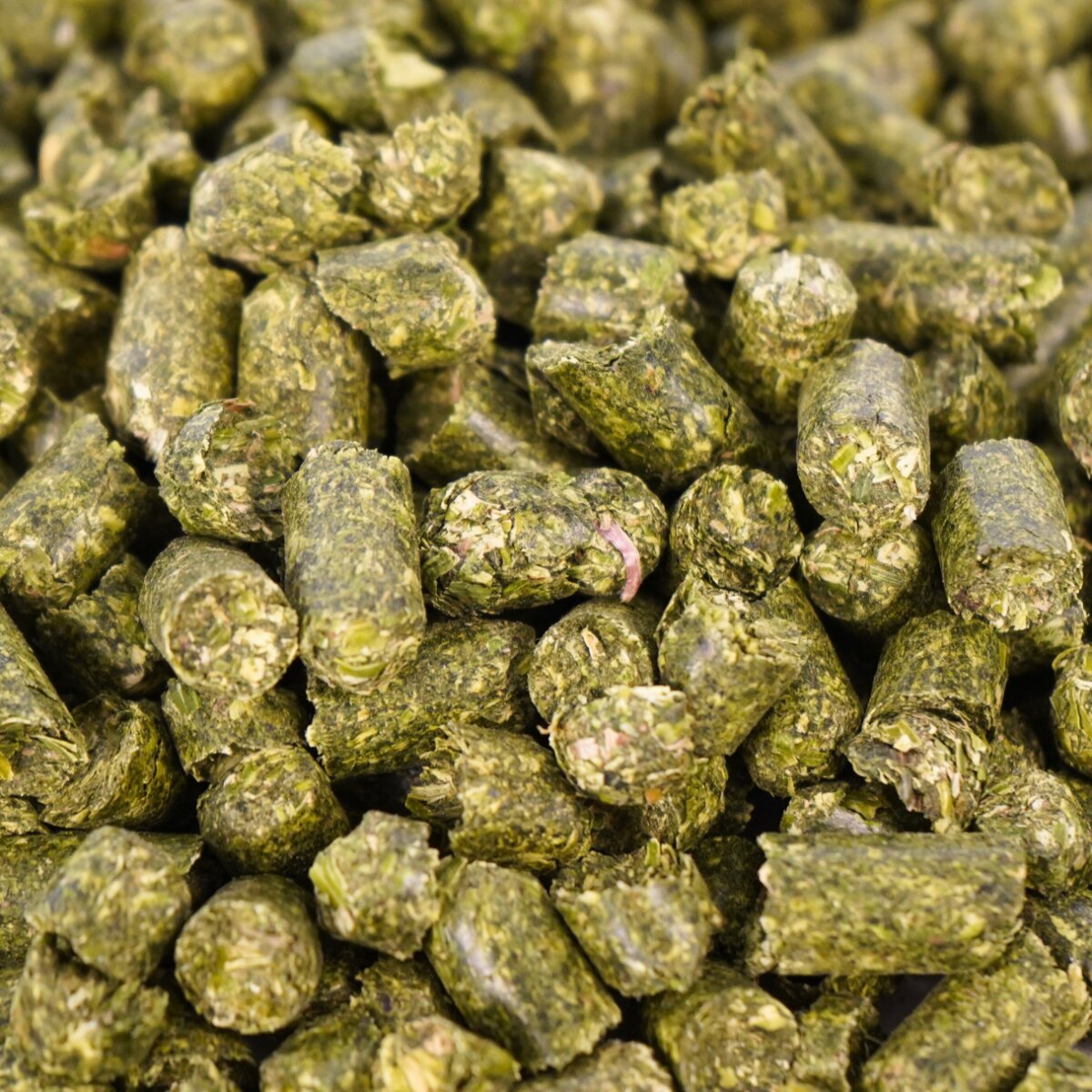 Schröder Luzerne Cobs (Pellets) Basis (8mm), 11,90